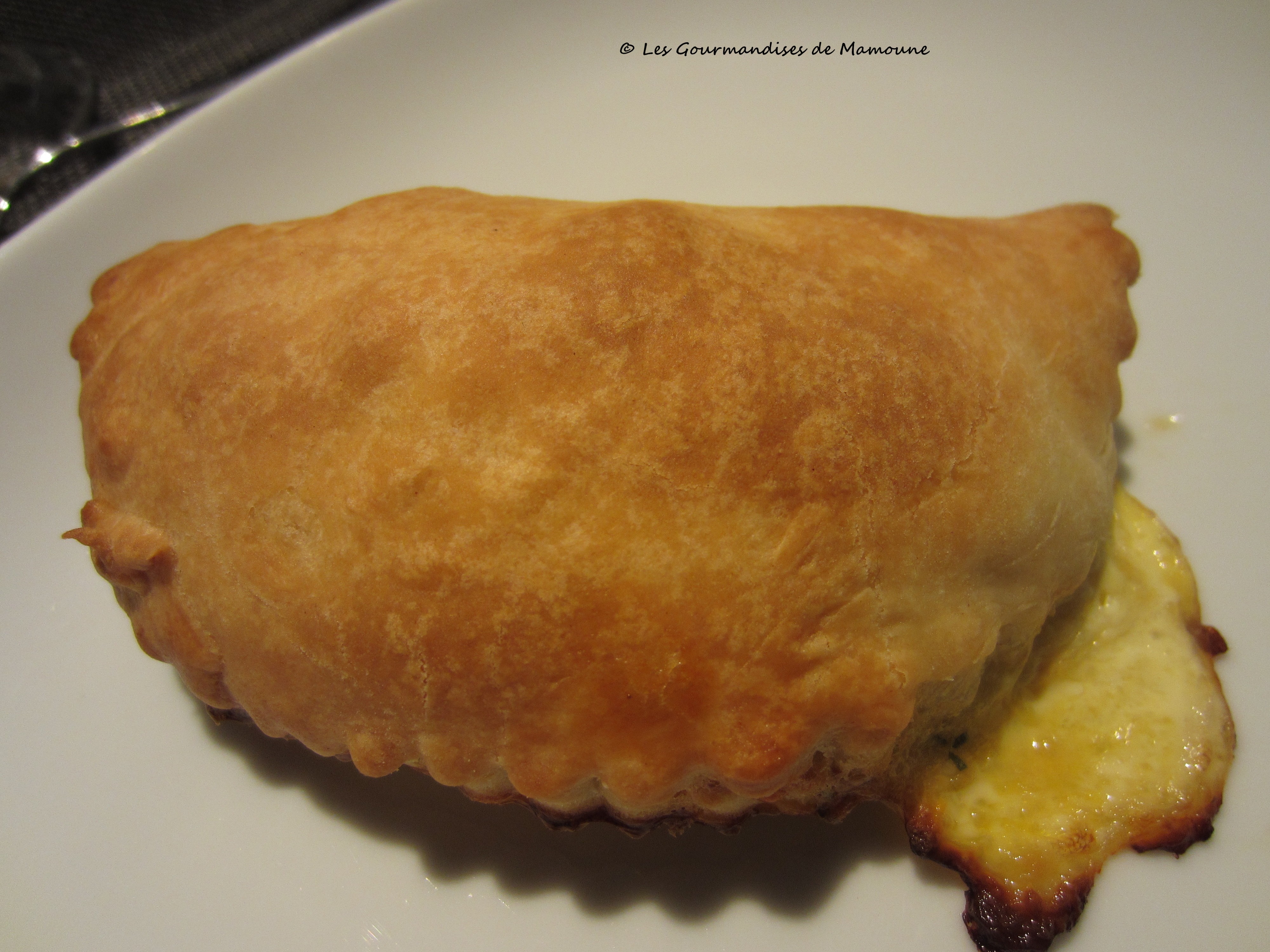 Chausson au fromage et légumes | Les gourmandises de Mamoune